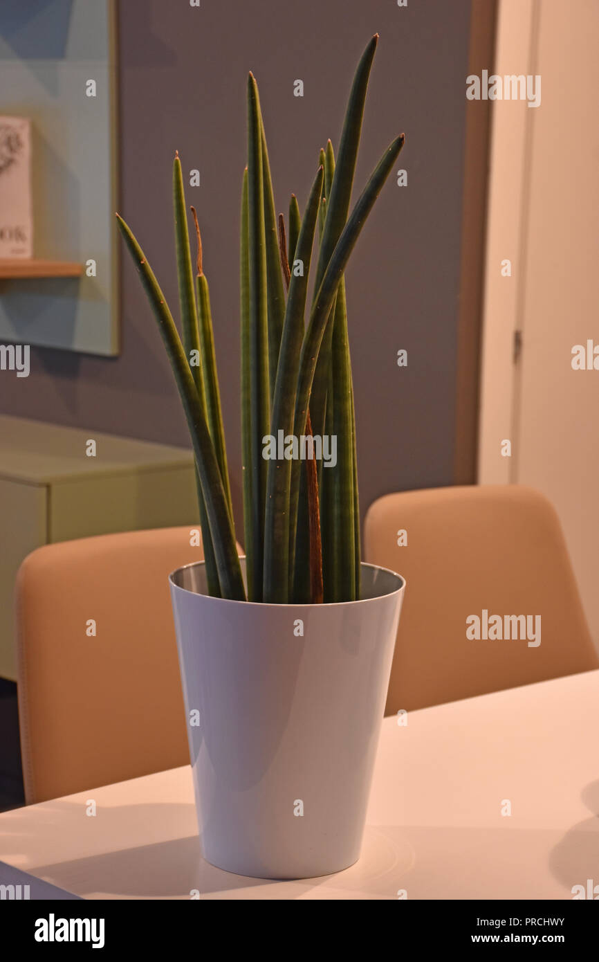 Modern objects and materials for furniture Stock Photo - Alamy