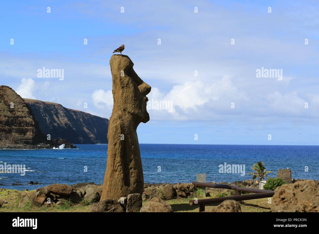 Moai statue at Ahu Tongariki archaeological site with Condor bird ...