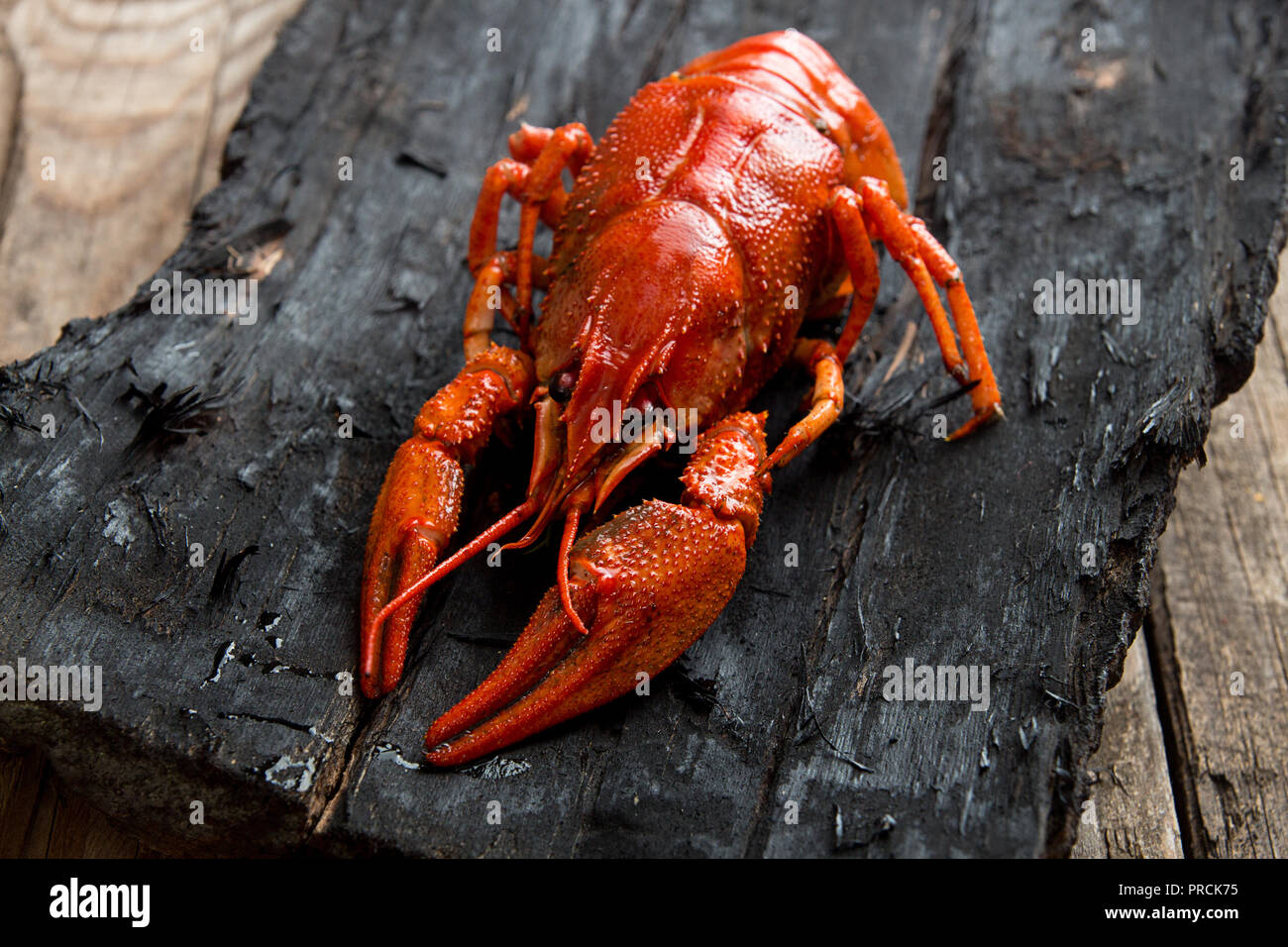 Boiled cooked crayfish crawfish ready to eat on black wooden rustic ...