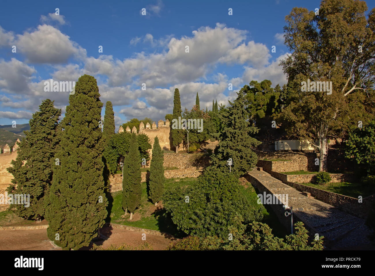 Green gardens of the Gibralfaro moorish castle, with cypress trees and ...