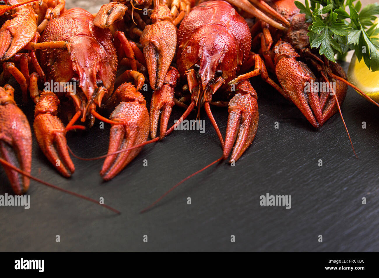 Boiled cooked crayfish crawfish ready to eat on black background. Copy ...
