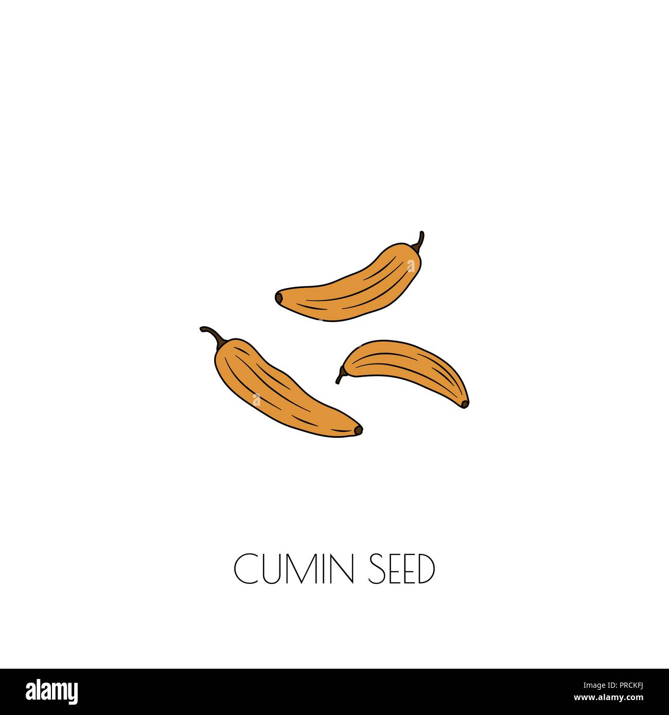 Cumin seeds icon Stock Vector Image & Art - Alamy