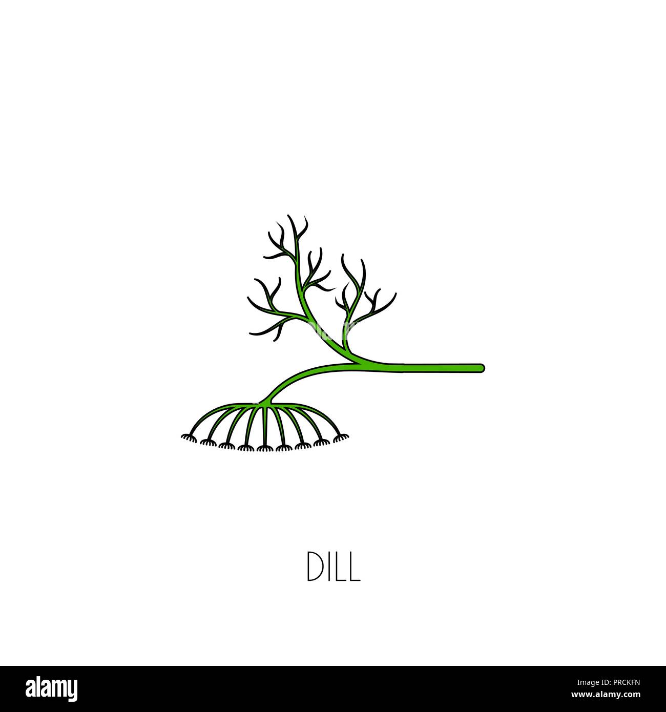 Spice dill icon Stock Vector Image & Art - Alamy