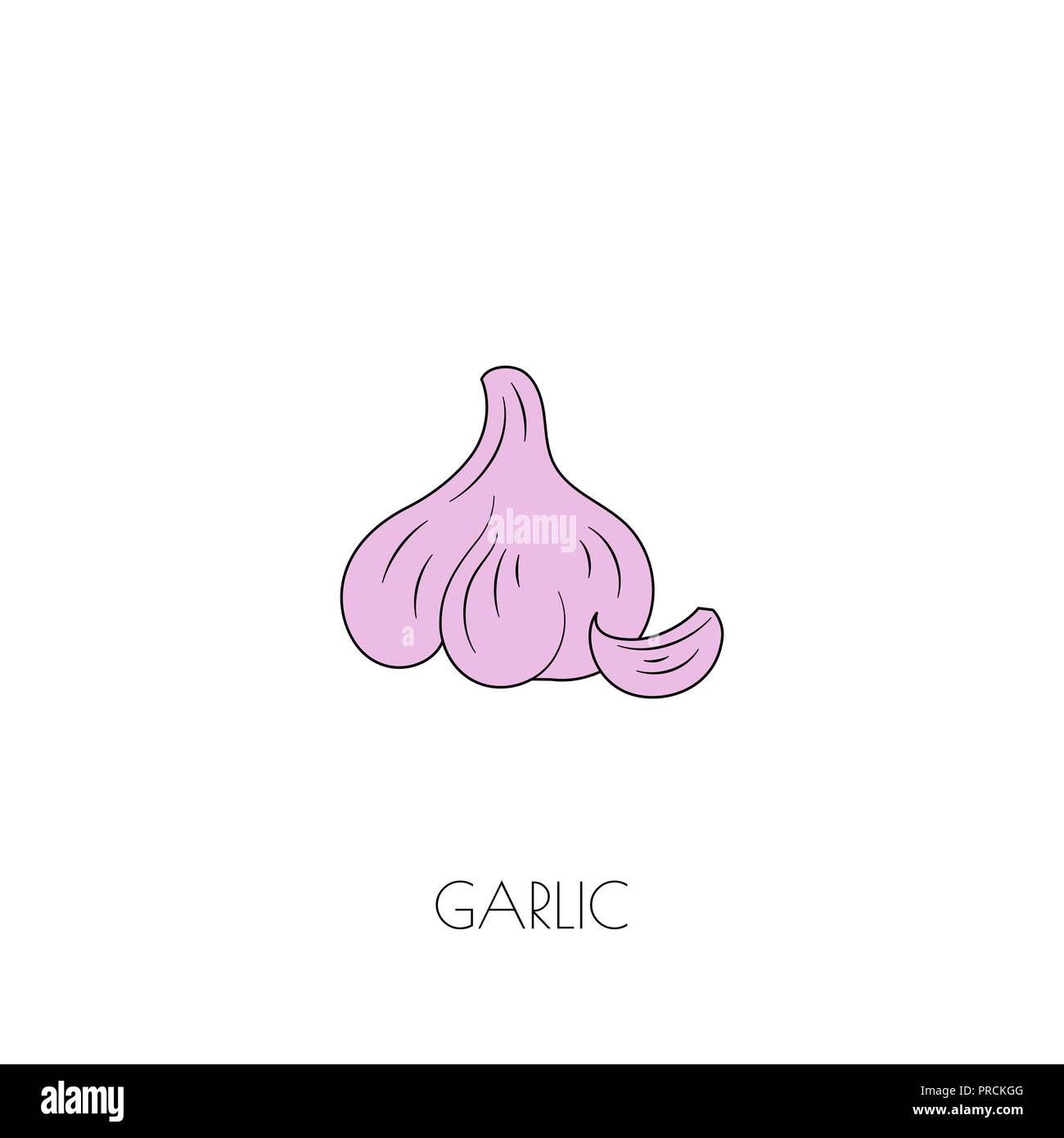 Herb spices and garlic Stock Vector Images - Alamy