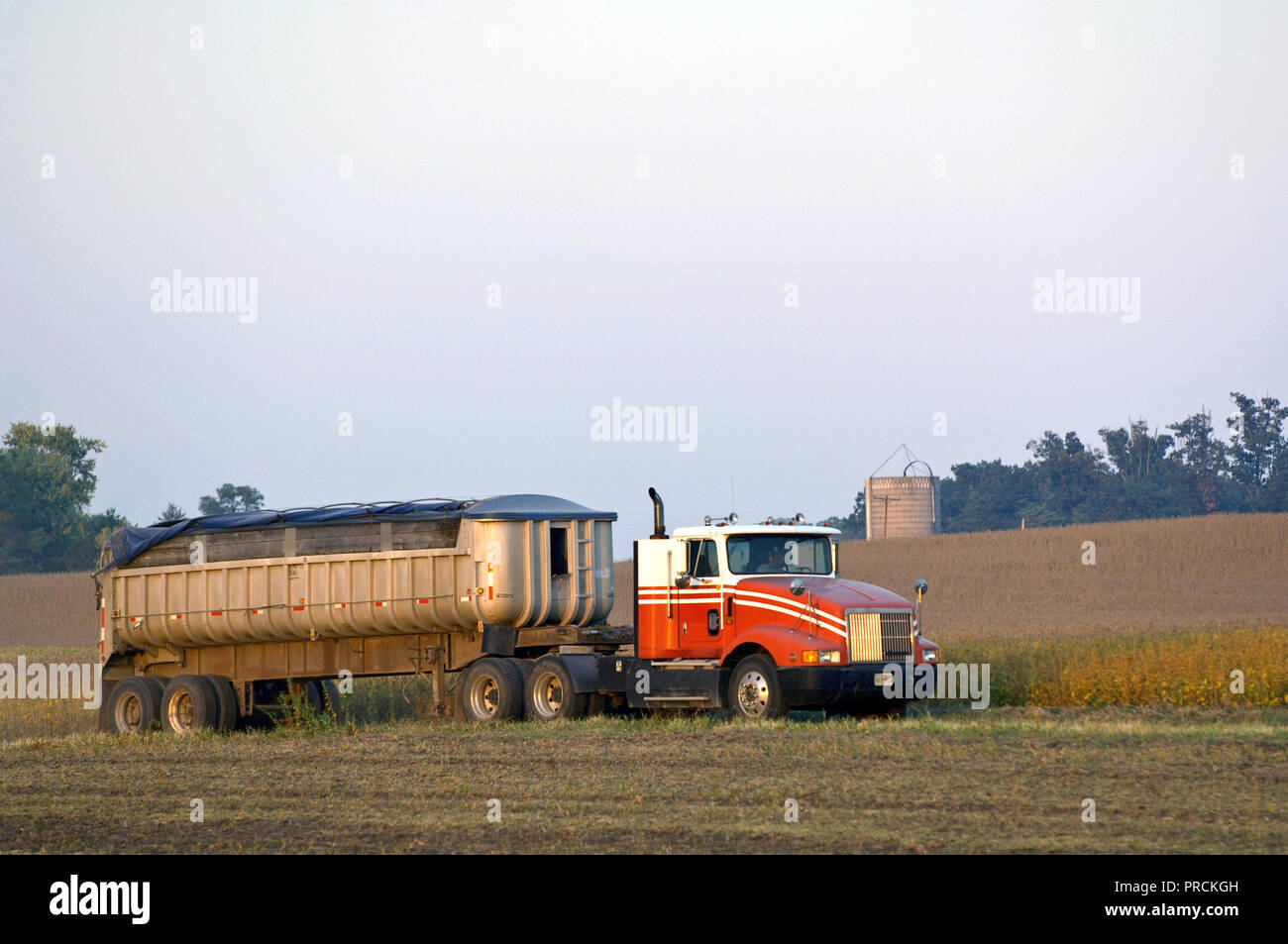 2007 - Semi truck in field carrying away harvested crops after a day of ...