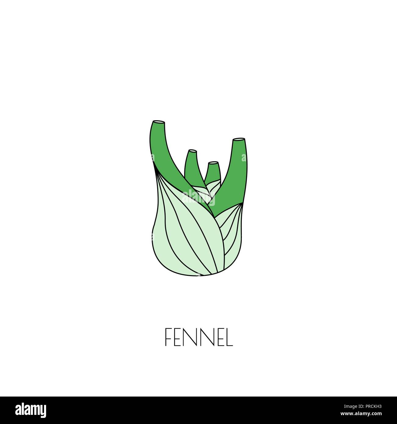 Fennel Stock Vector Images - Alamy