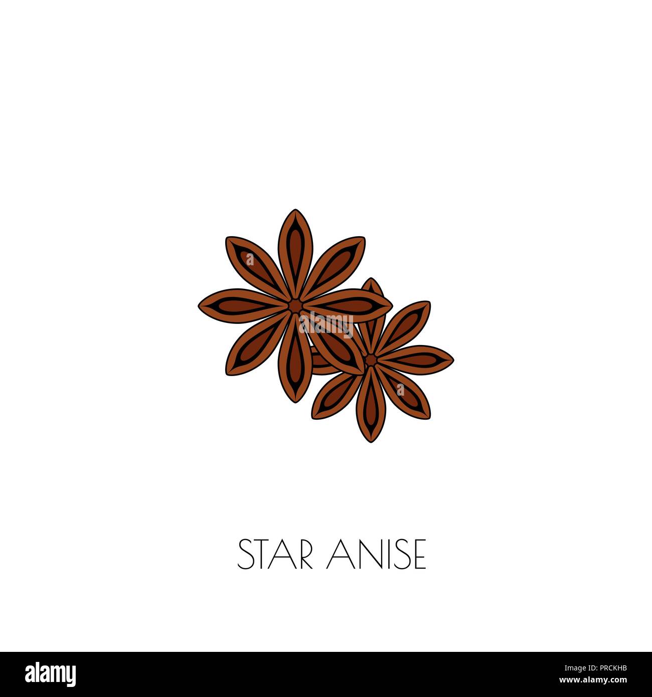 Spice star anise icon Stock Vector Image & Art - Alamy