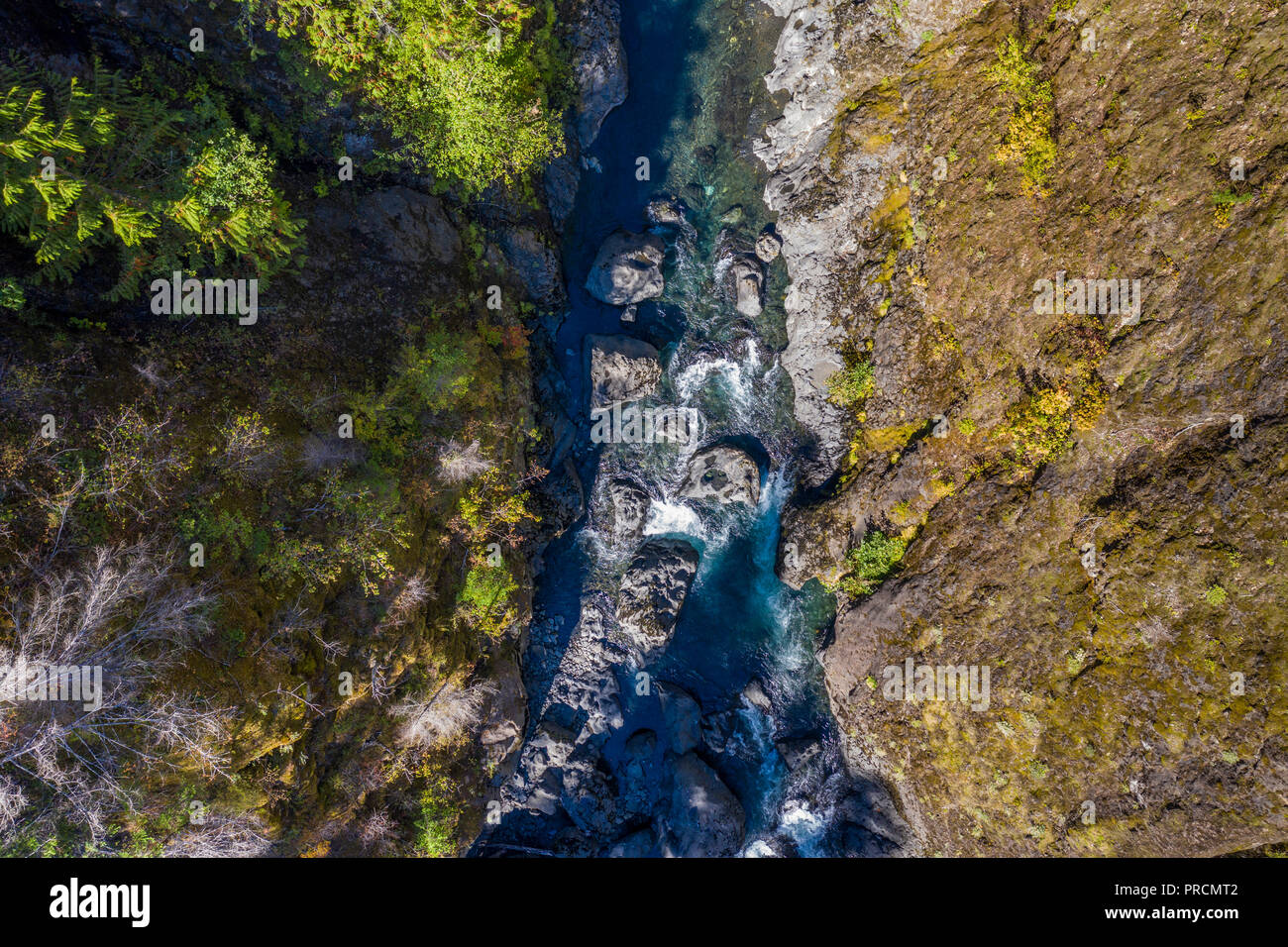 Aerial view of a river flowing through trees Stock Photo - Alamy
