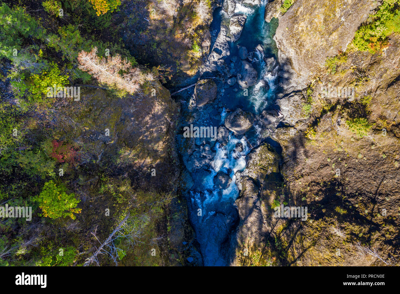 Aerial view of a river flowing through trees Stock Photo - Alamy