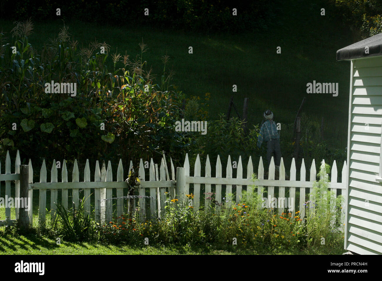 Old traditional farm hi-res stock photography and images - Alamy