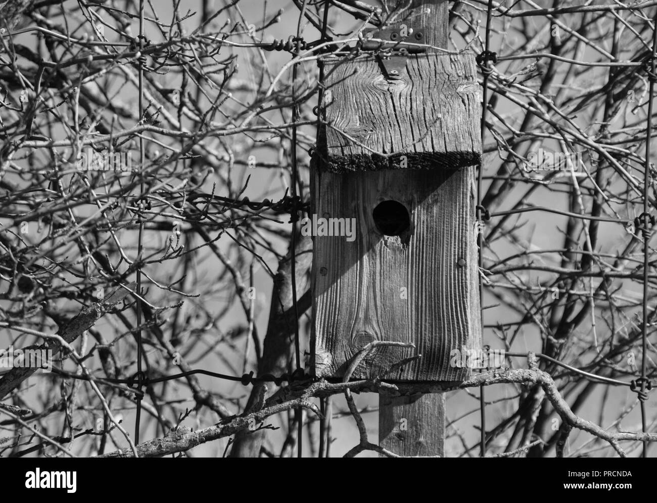 Bird house on the Weaselhead trail in Calgary Stock Photo - Alamy