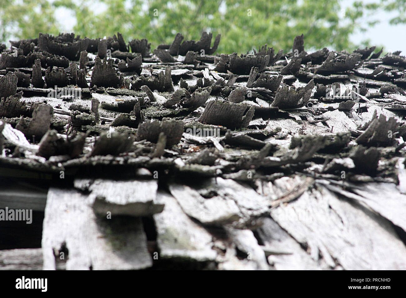 Close-up of old worn wooden tiles of traditional house roof in Virginia ...