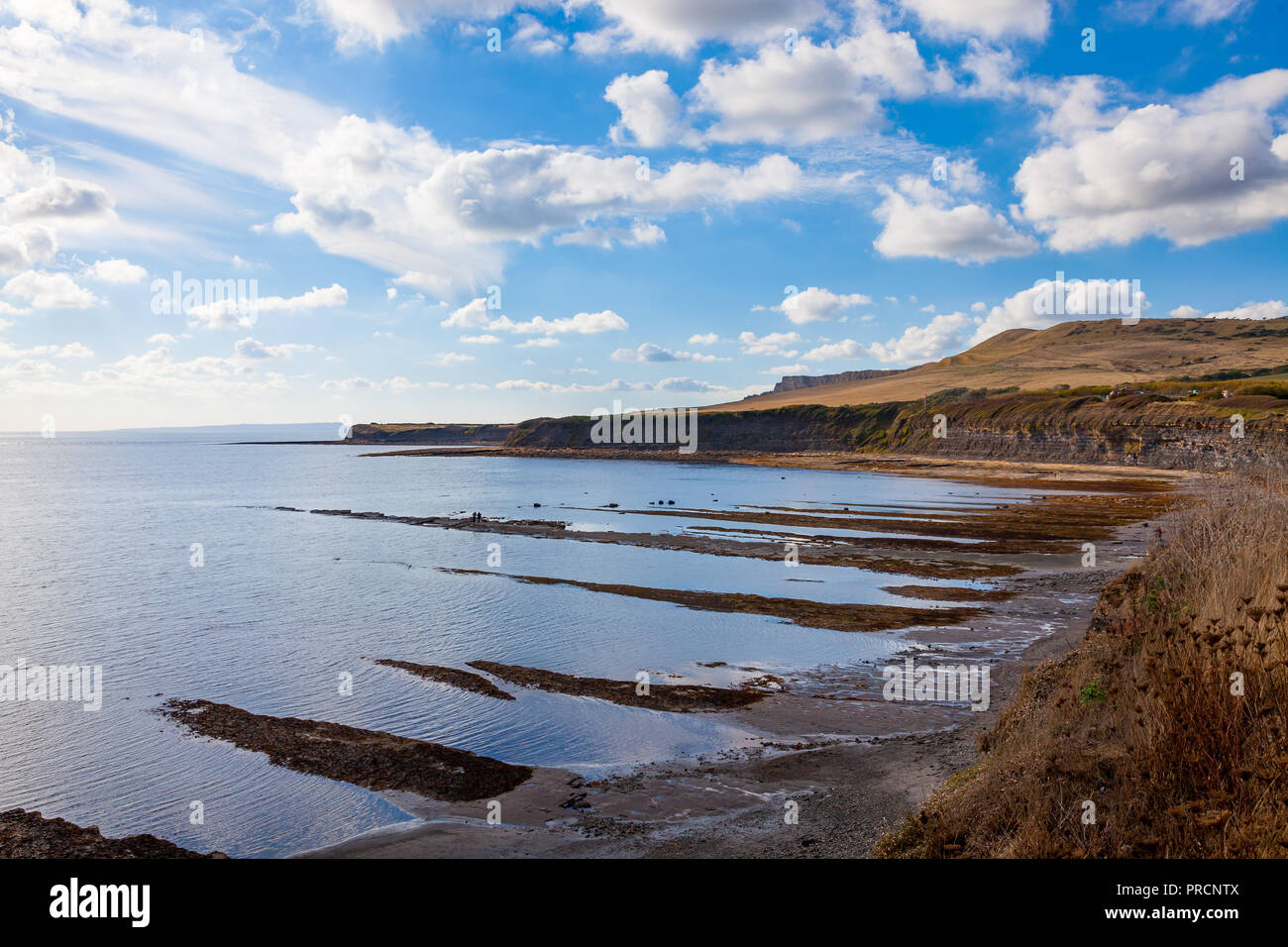 Overlooking the Dramatic coastline at Kimmeridge Bay Dorset England UK ...
