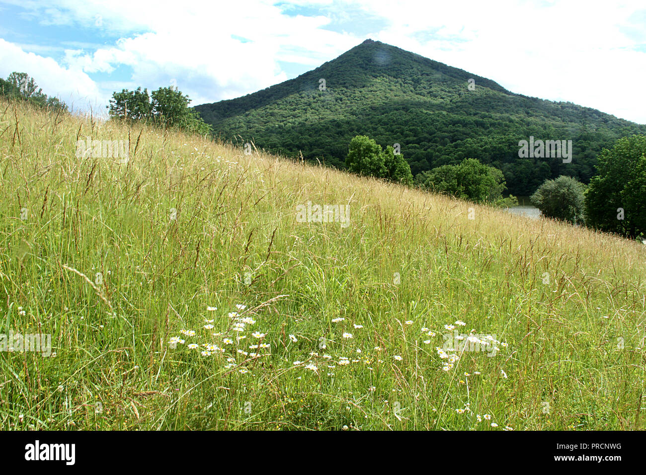 Virginia's Blue Ridge Mountains, USA. View of Sharp Top in summertime ...