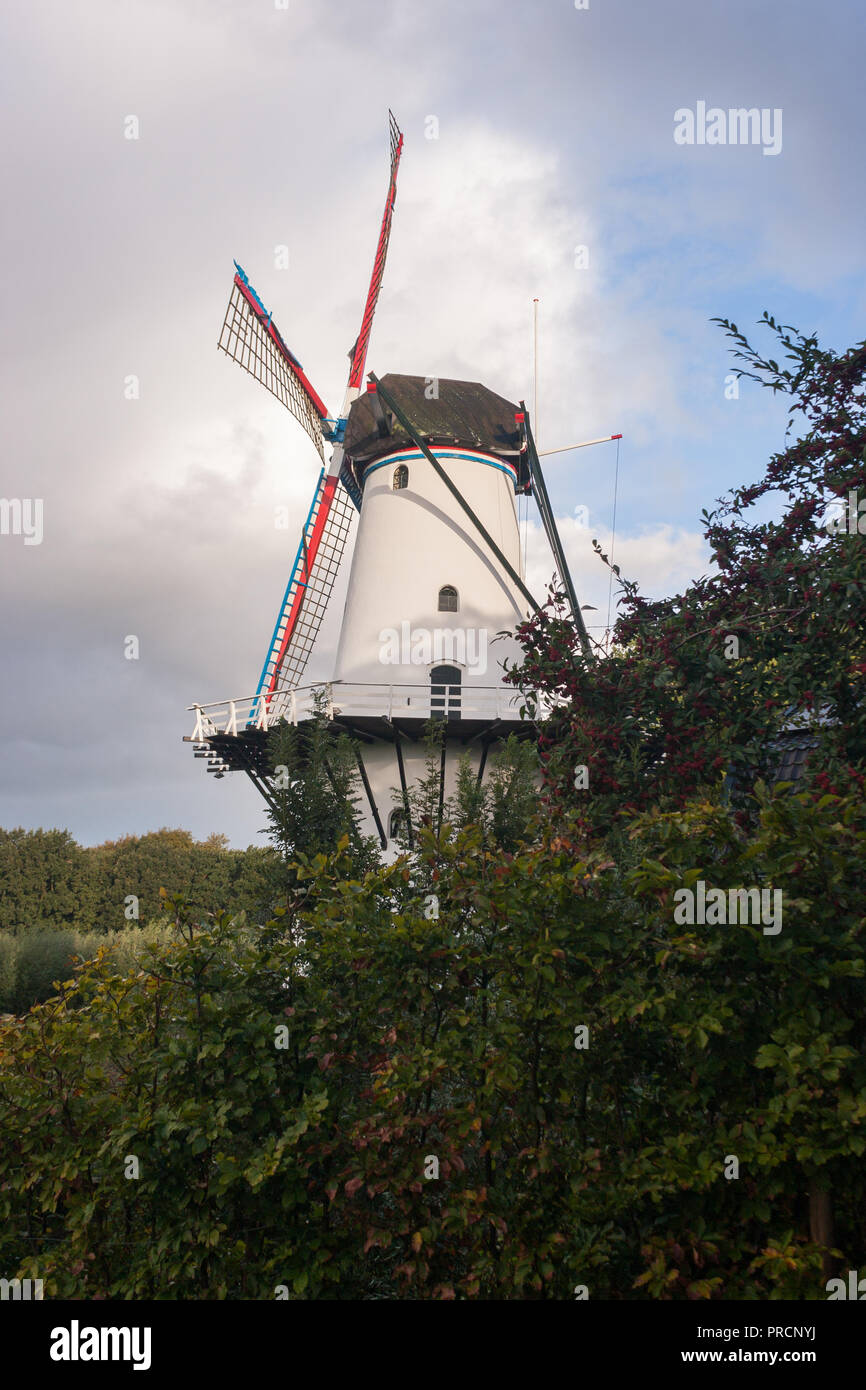 A traditional Dutch windmill with the colors of the flag of the ...