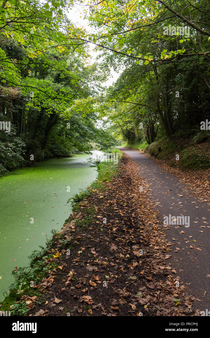 Lagan towpath, between Lisburn and Belfast, popular with walkers and ...
