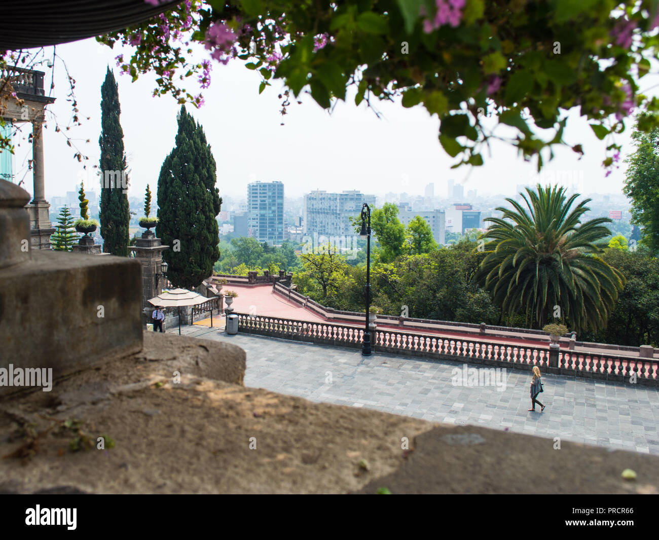 Mexico city view from top of Chapultepec Castle. Trees, flowers, grey ...