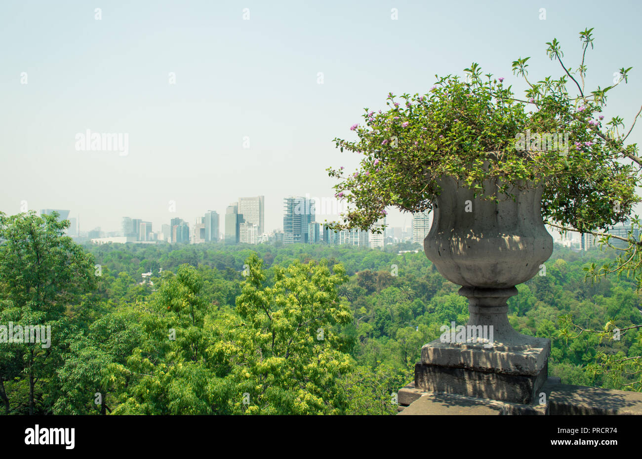 Mexico City skyline from the Chapultepec castle, Mexico City Stock ...