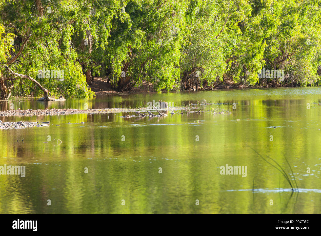 Gregory river hi-res stock photography and images - Alamy