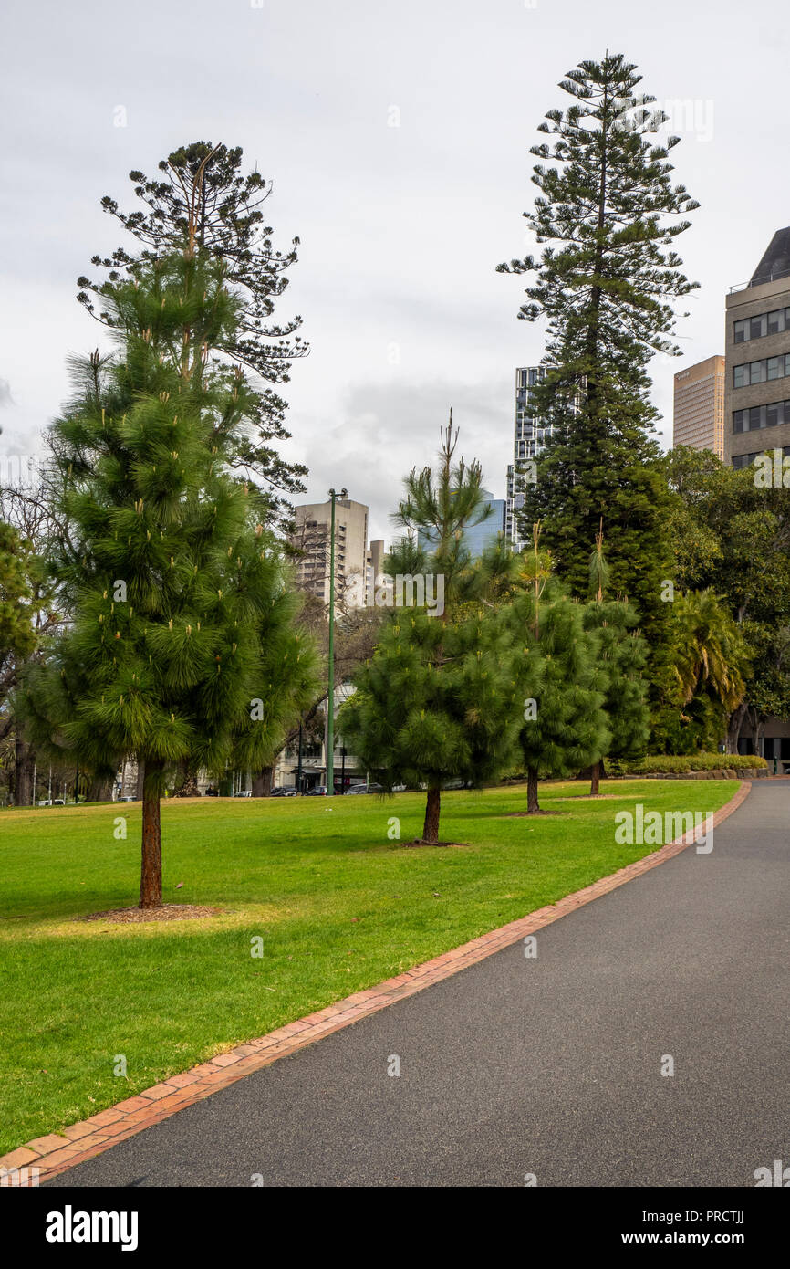 Trees and a pathway in Fitzroy Gardens, Melbourne Victoria Australia ...
