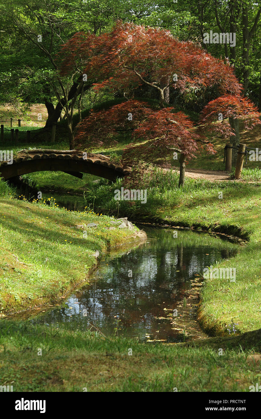 Japanese garden maymont park hi-res stock photography and images - Alamy