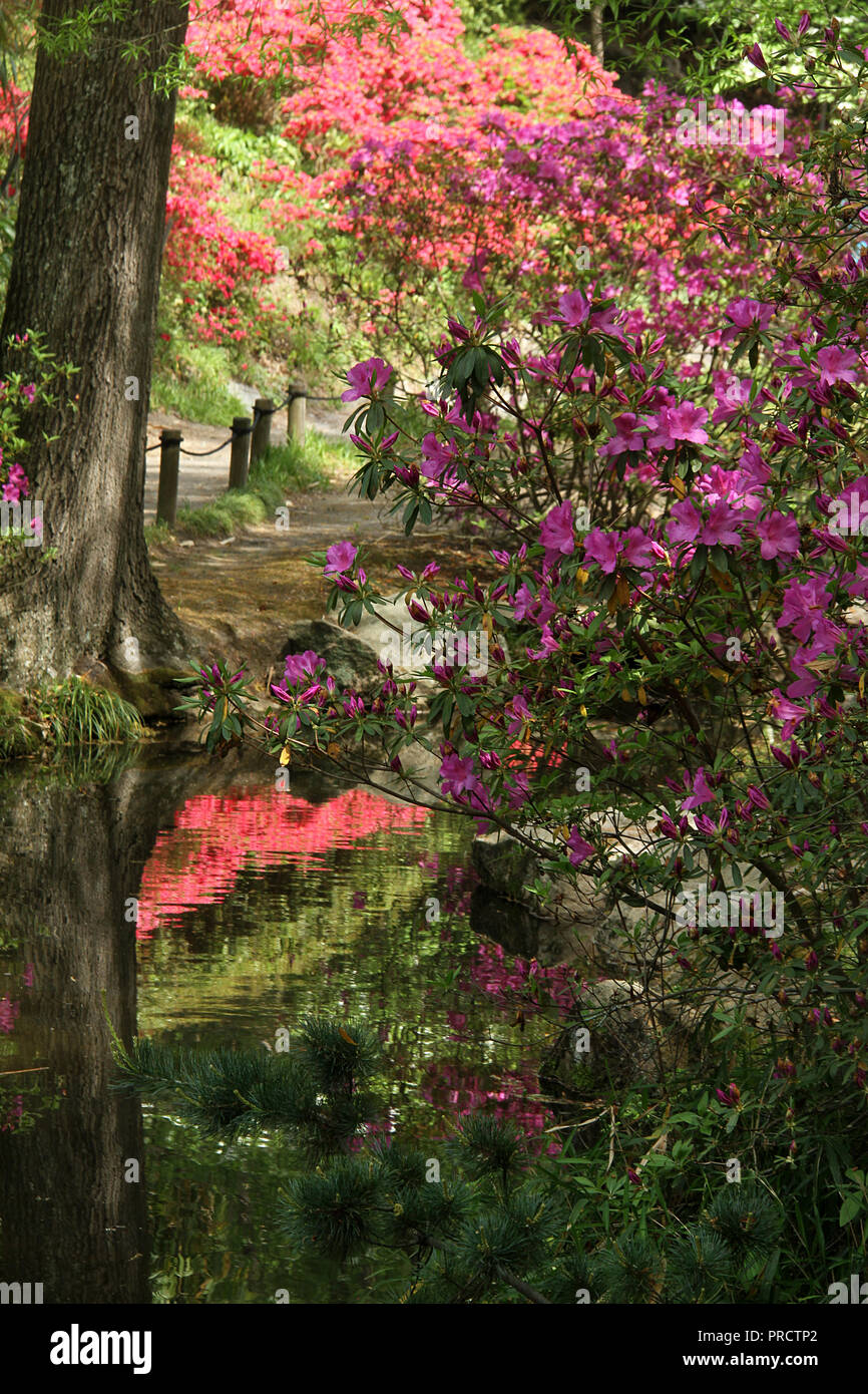 Maymont Park High Resolution Stock Photography and Images - Alamy