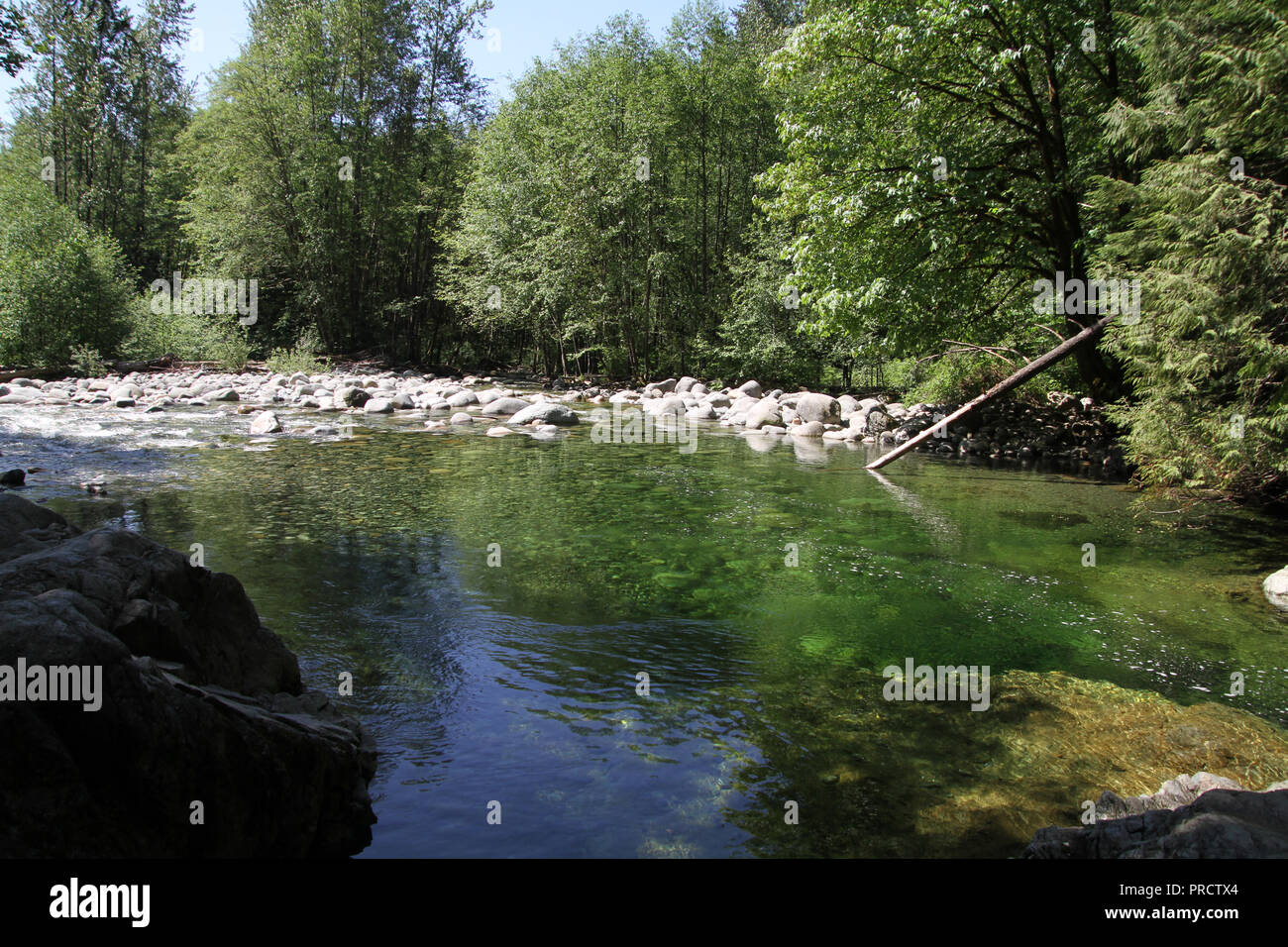 River running through a forest hi-res stock photography and images - Alamy