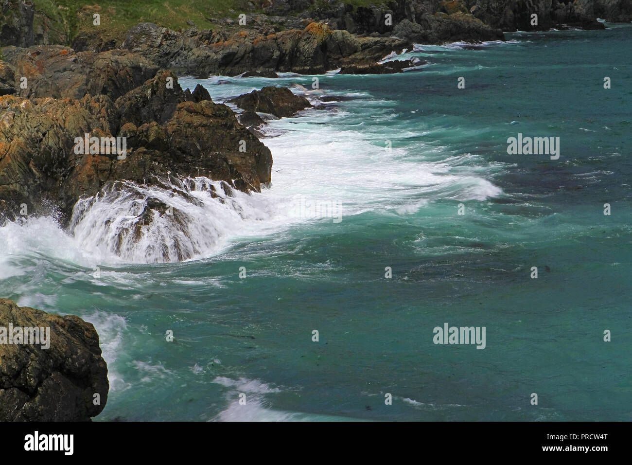 Newfoundland Photos of Torbay Beach in Torbay, Newfoundland, Canada and ...