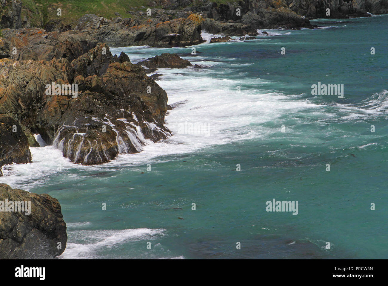 Torbay coast hi-res stock photography and images - Alamy