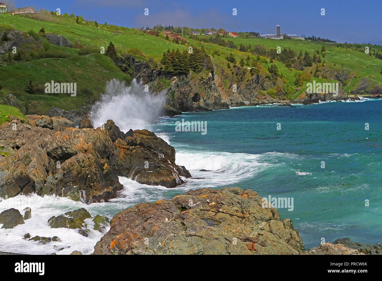 Newfoundland Photos of Torbay Beach in Torbay, Newfoundland, Canada ...