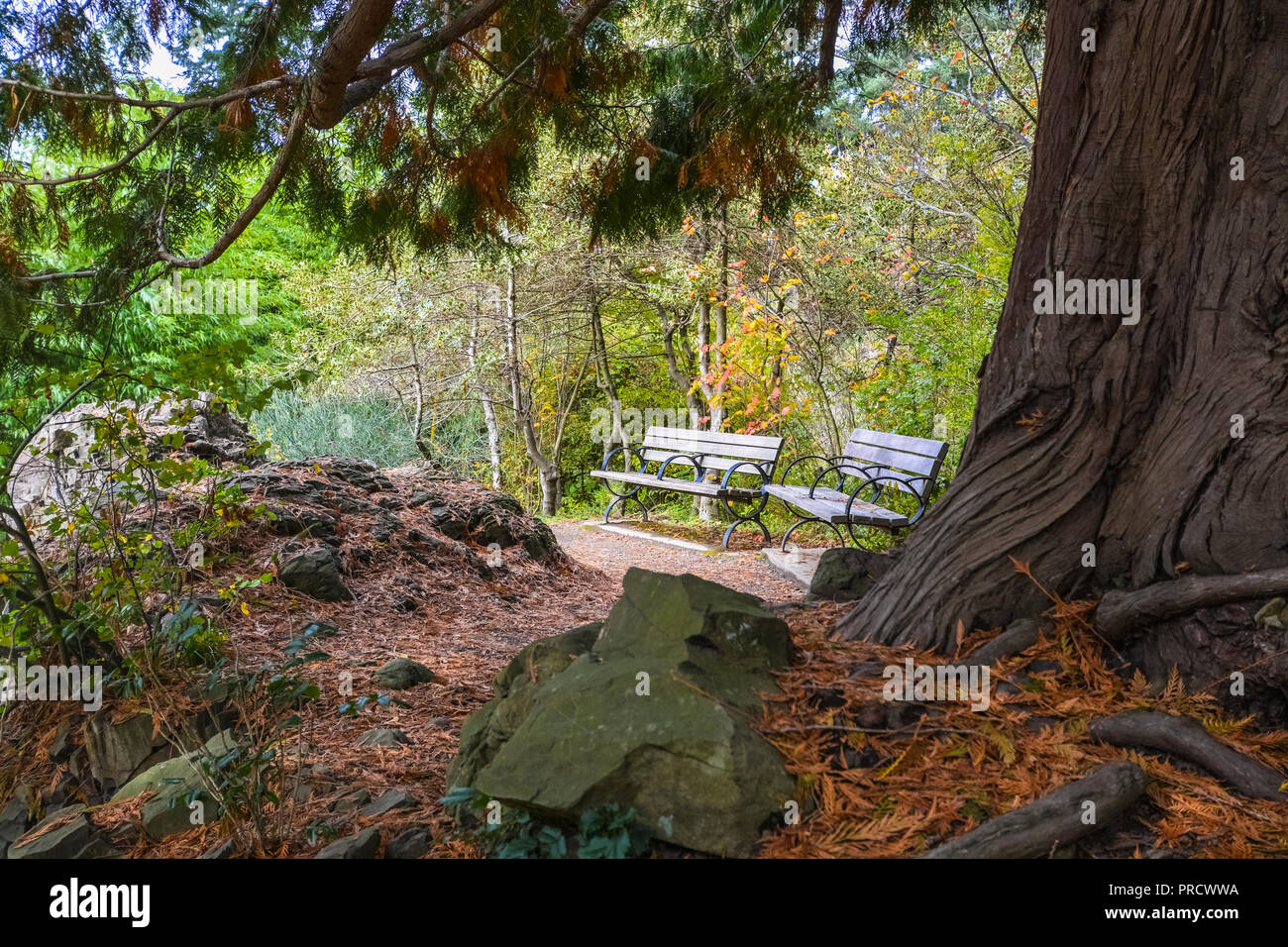 Beautiful park benches hi-res stock photography and images - Alamy