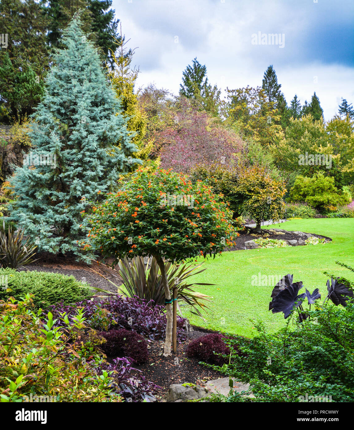 Landscaping around trees hi-res stock photography and images - Alamy