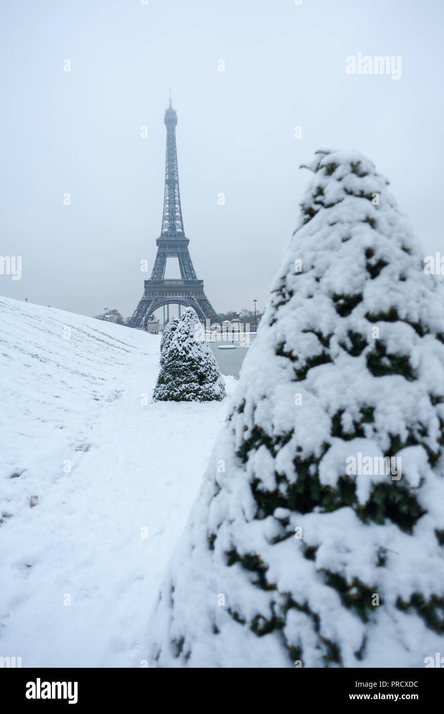 Eiffel tower under the snow in winter behind pine trees from the ...
