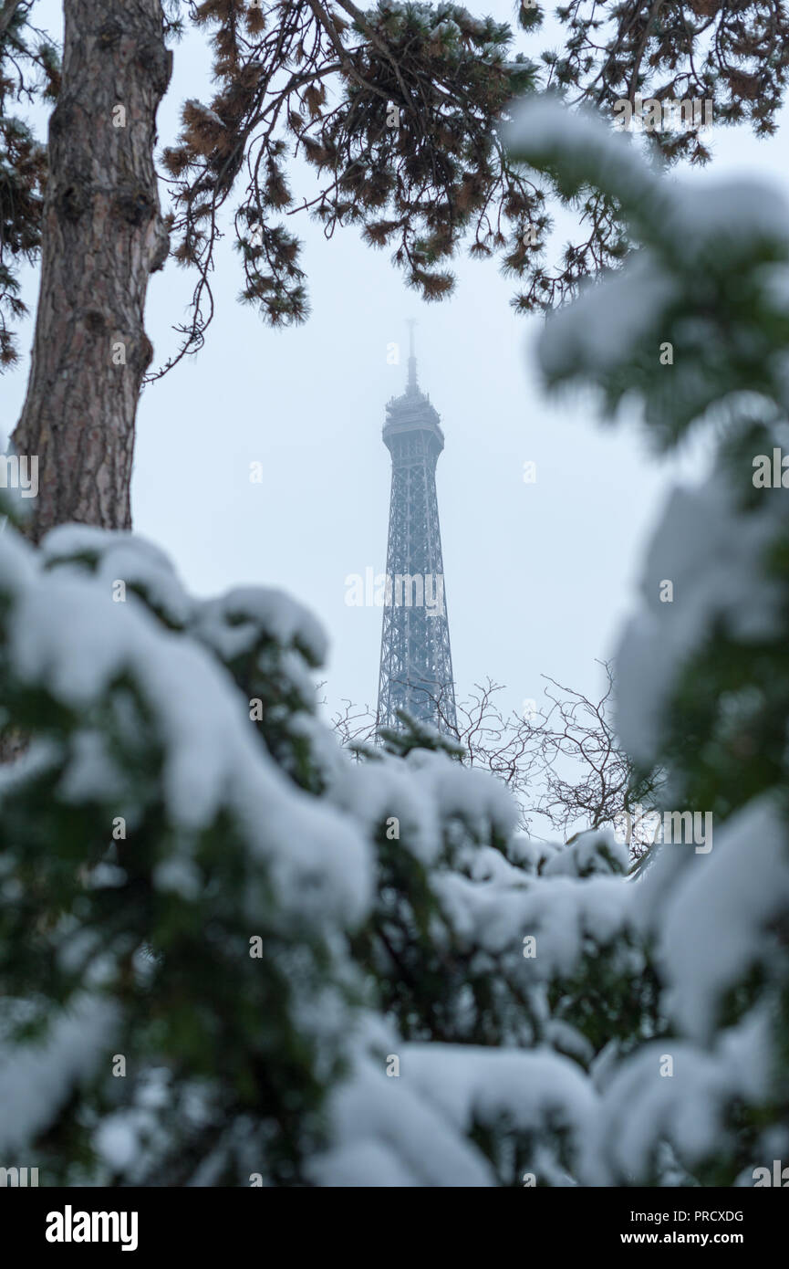 Eiffel tower under the snow behind trees from the Trocadero gardens in ...