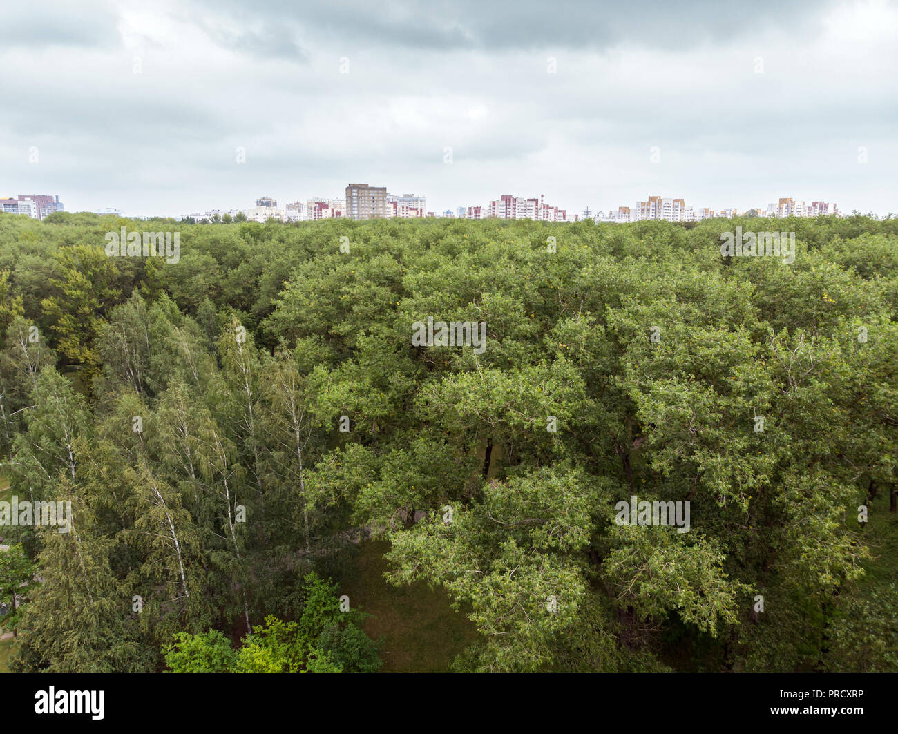 Aerial view tree hi-res stock photography and images - Alamy