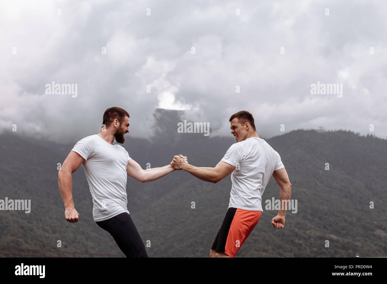 Two Muscle Men Handshake