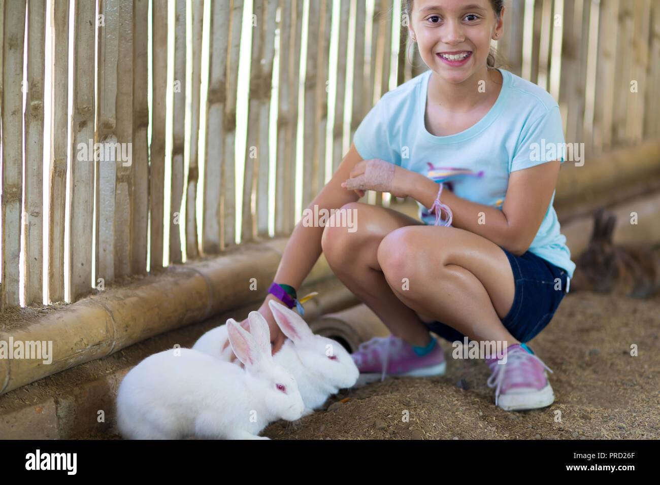 Happy Girl Playing with Rabbit in the Farm Stock Photo - Alamy