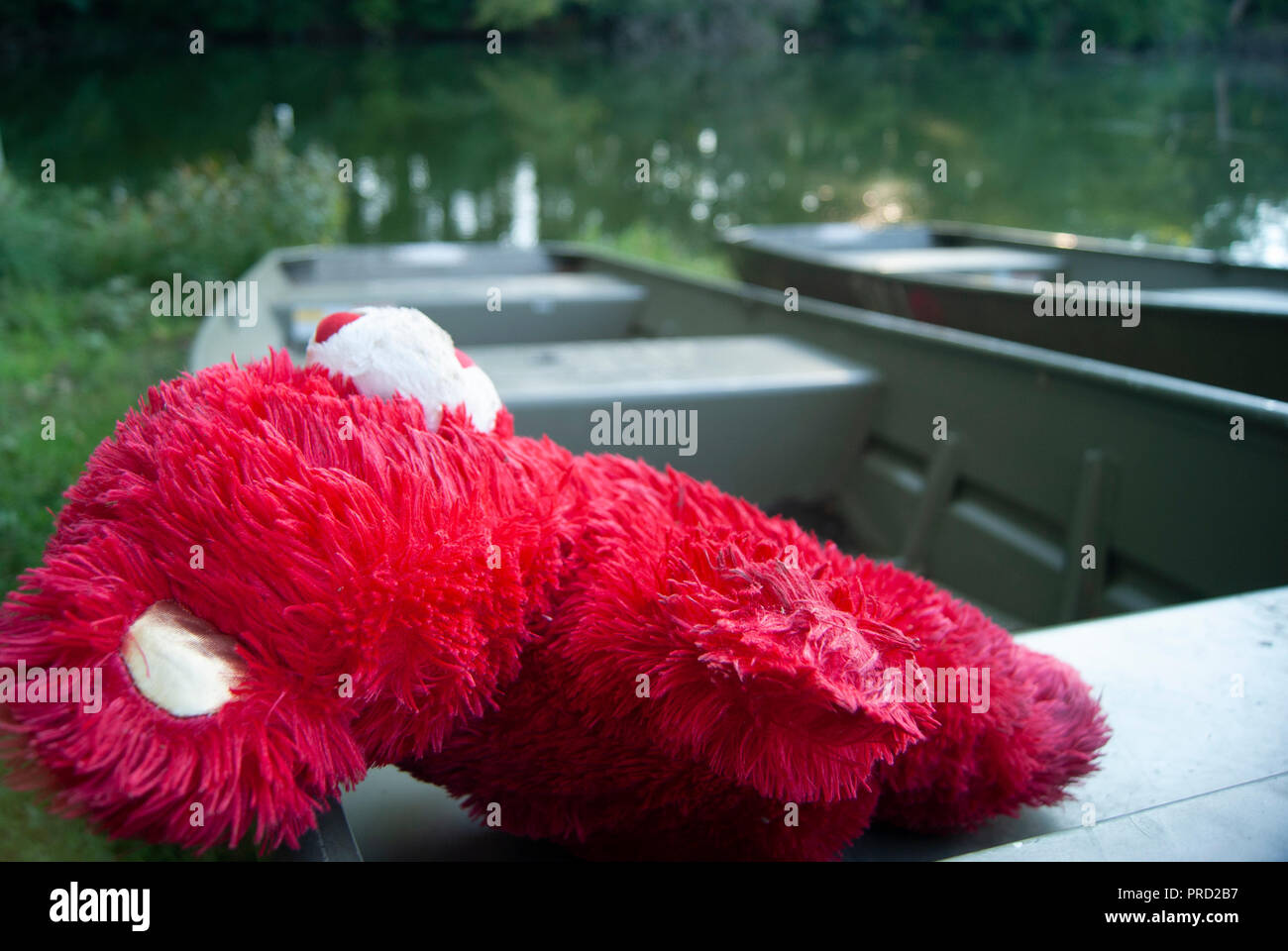 Teddy Bear in an odd environment Stock Photo - Alamy