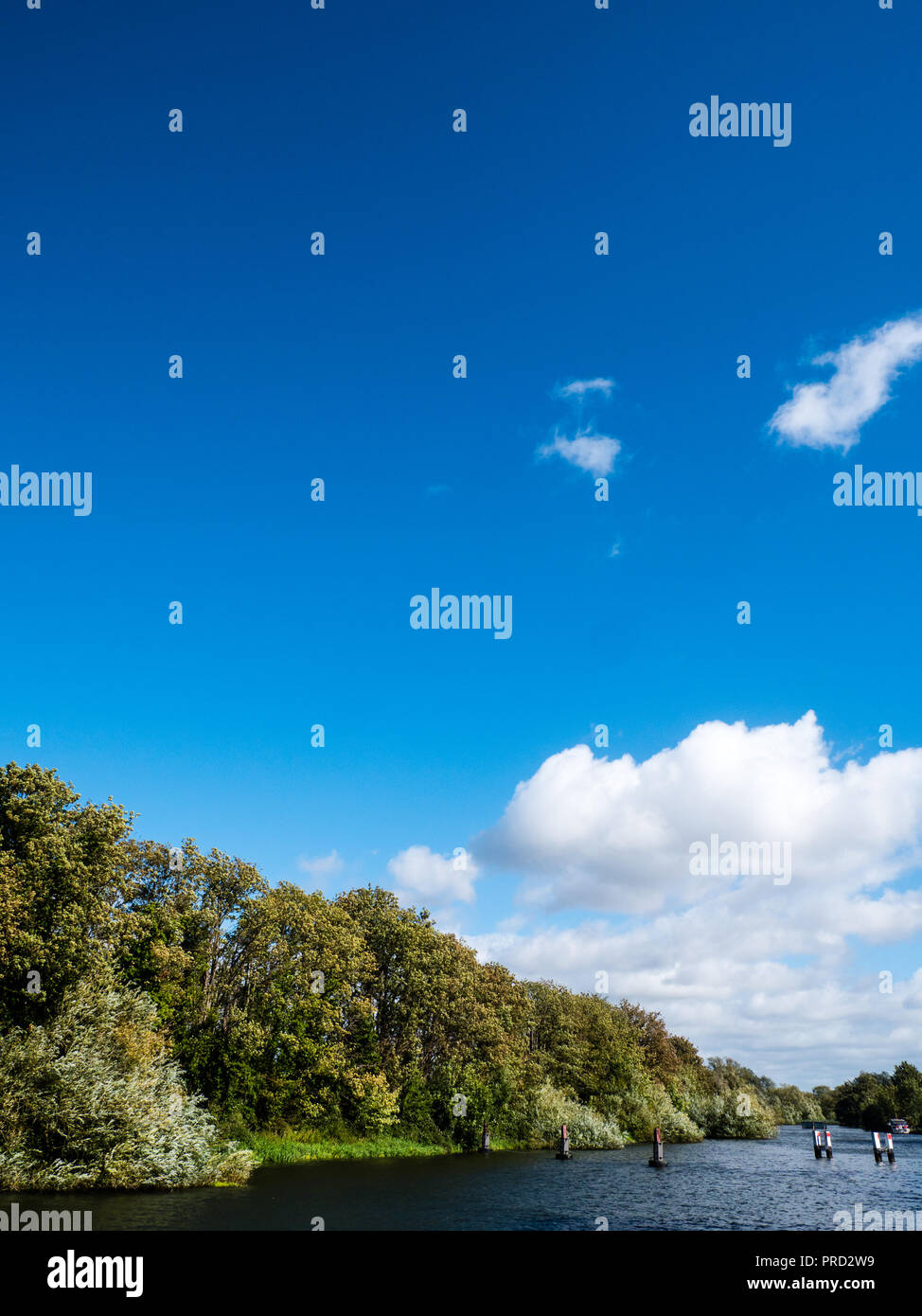 River Thames nr Abingdon Lock, Abingdon, Oxfordshire, England, UK, GB ...