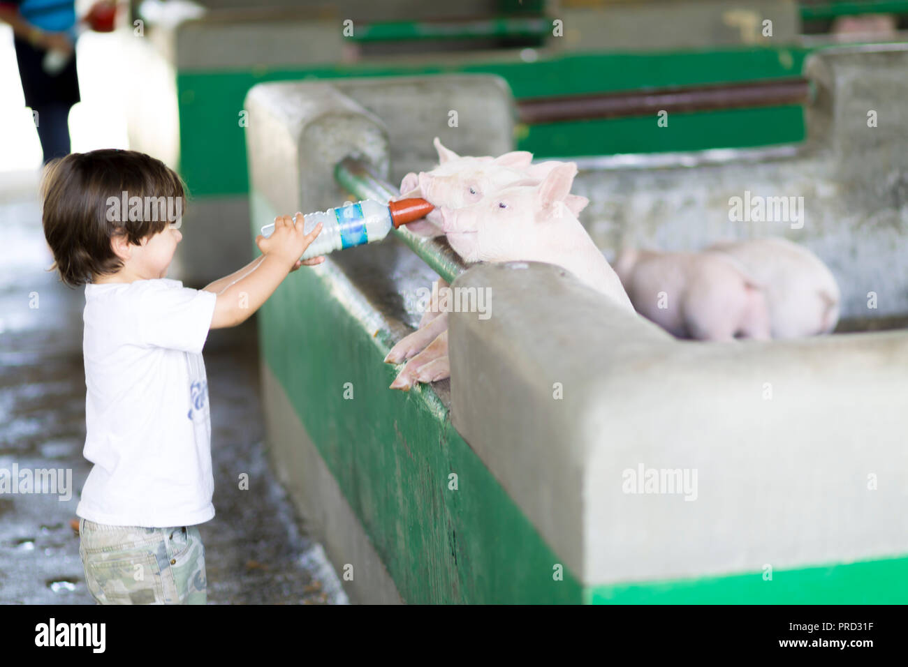 Latin american boy teenager hi-res stock photography and images - Alamy