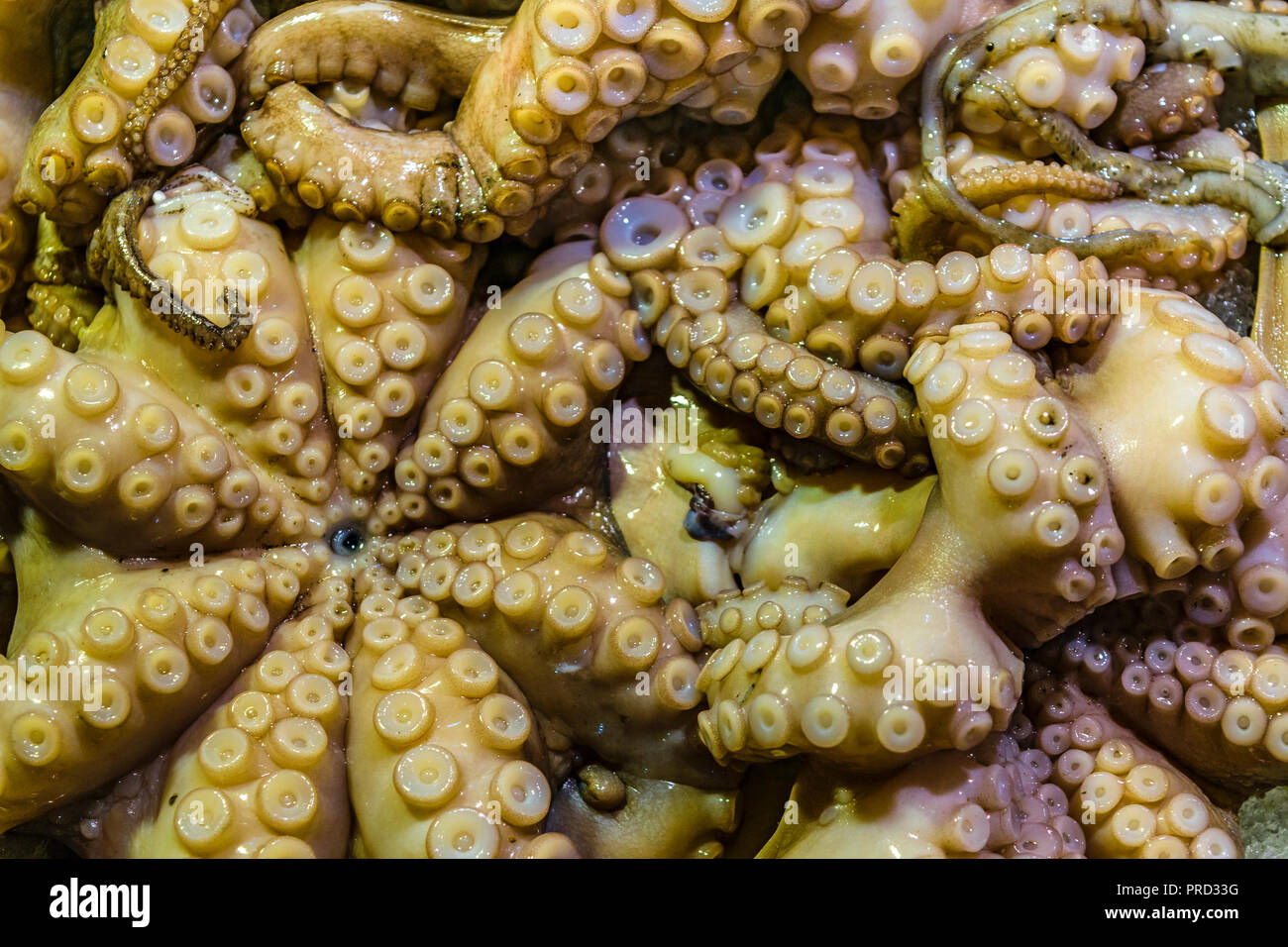 Dead octopus hi-res stock photography and images - Alamy