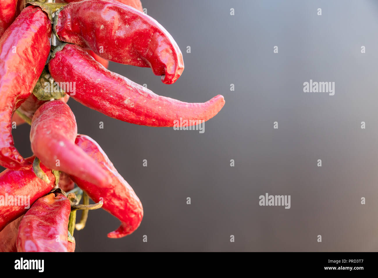 The real Red Chili Peppers isolated on the grey background without ...