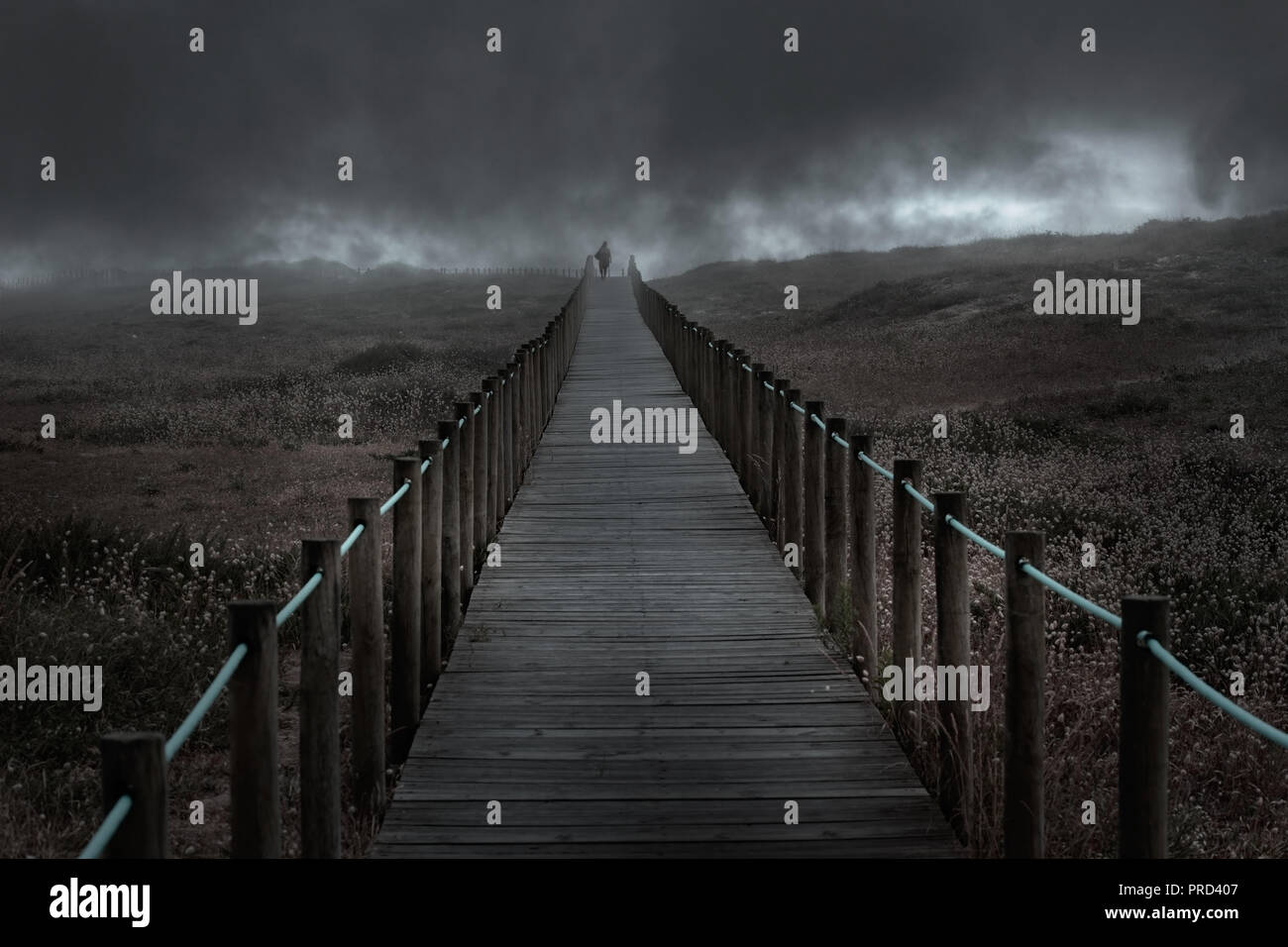 Dramatic dark wooden walkway over a foggy dune in an overcast evening ...