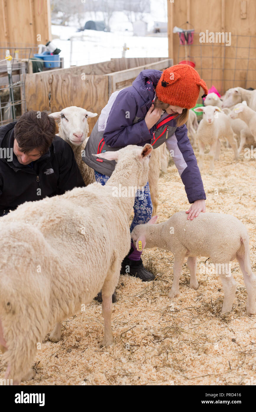 Patting farm hi-res stock photography and images - Alamy