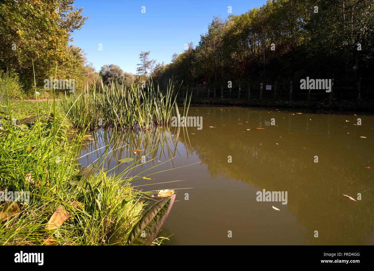 Part of the disused Nottingham canal near Cossall, UK Stock Photo - Alamy