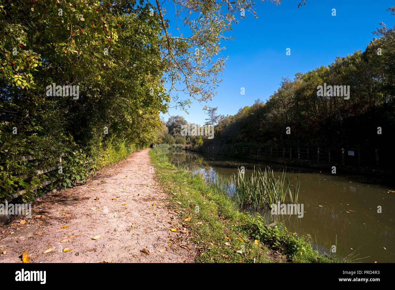 Cossall walk hi-res stock photography and images - Alamy