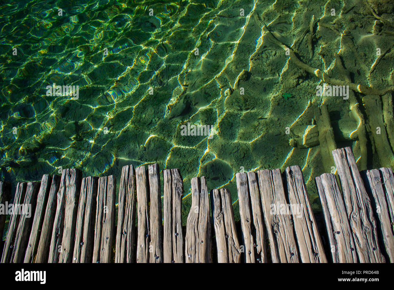 Walking trail over water Stock Photo - Alamy
