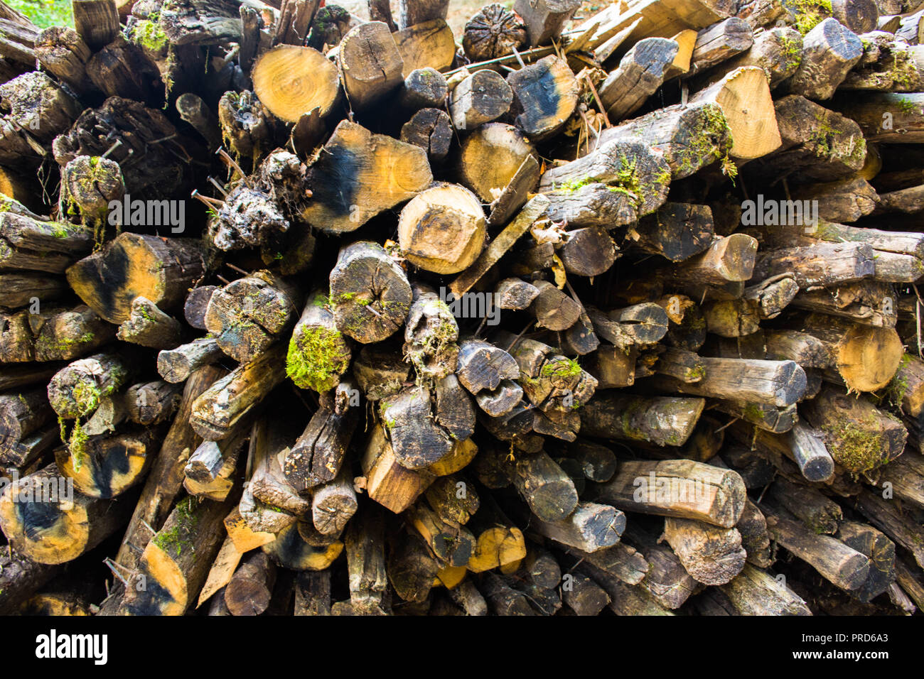 Pile of wood Stock Photo - Alamy