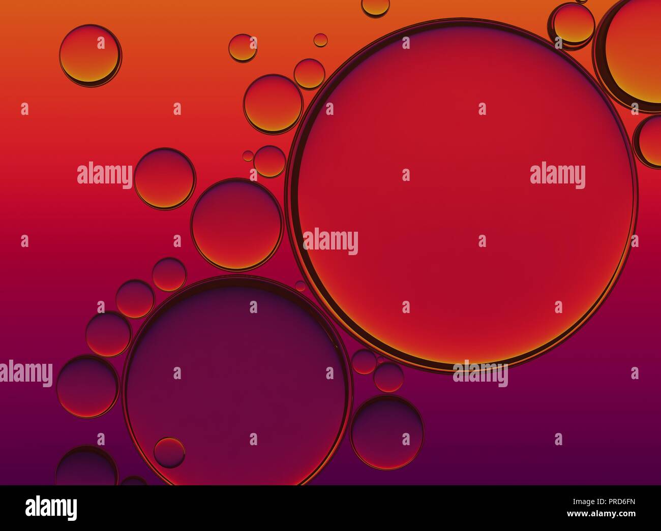 Oil Bubbles Isolated on White Background, Closeup Collagen Emulsion in ...