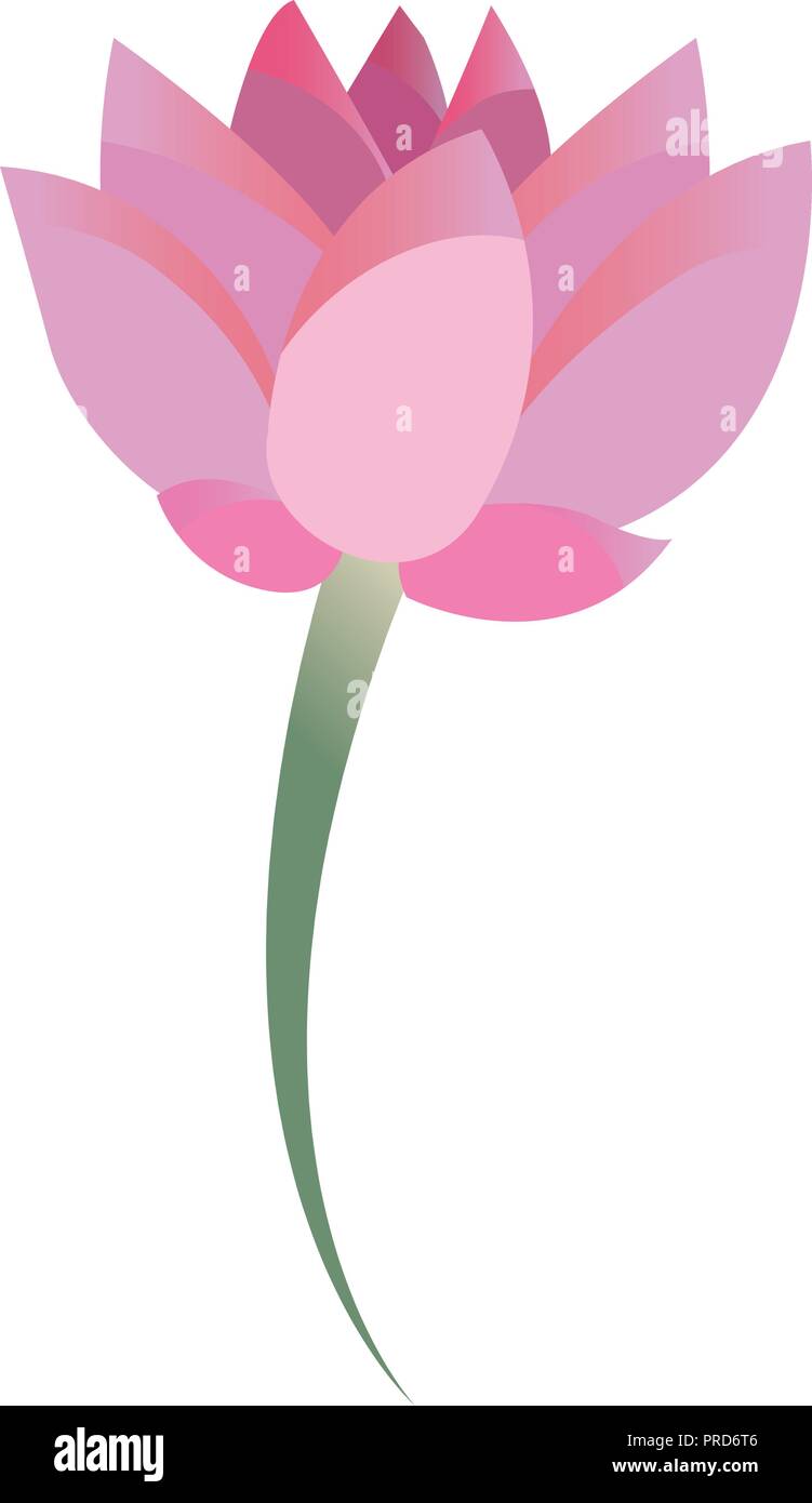 beauty flower steam nature isolated design vector illustration Stock ...